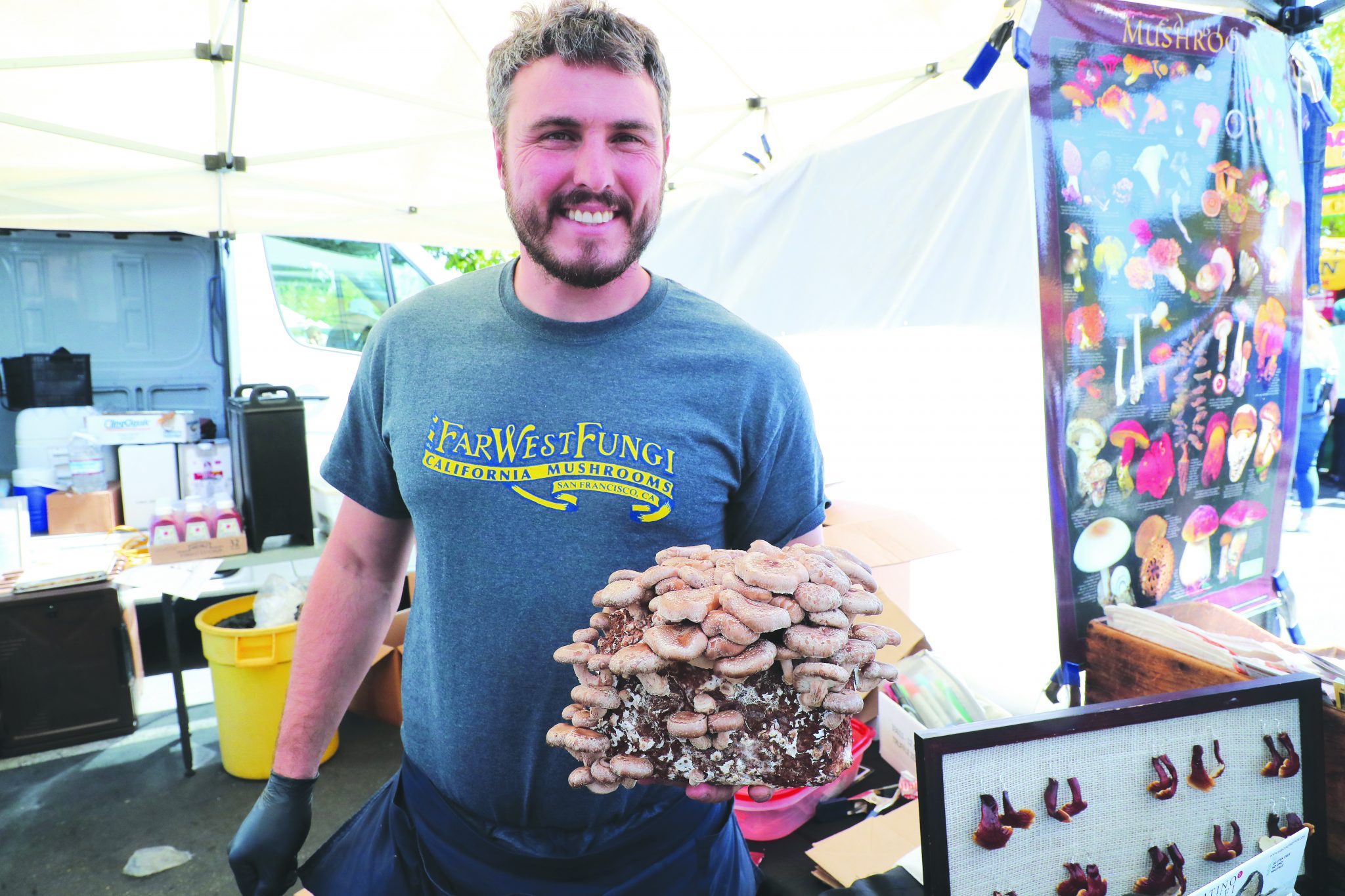 Mushroom fest returns with big changes for 2023 | Morgan Hill Times ...