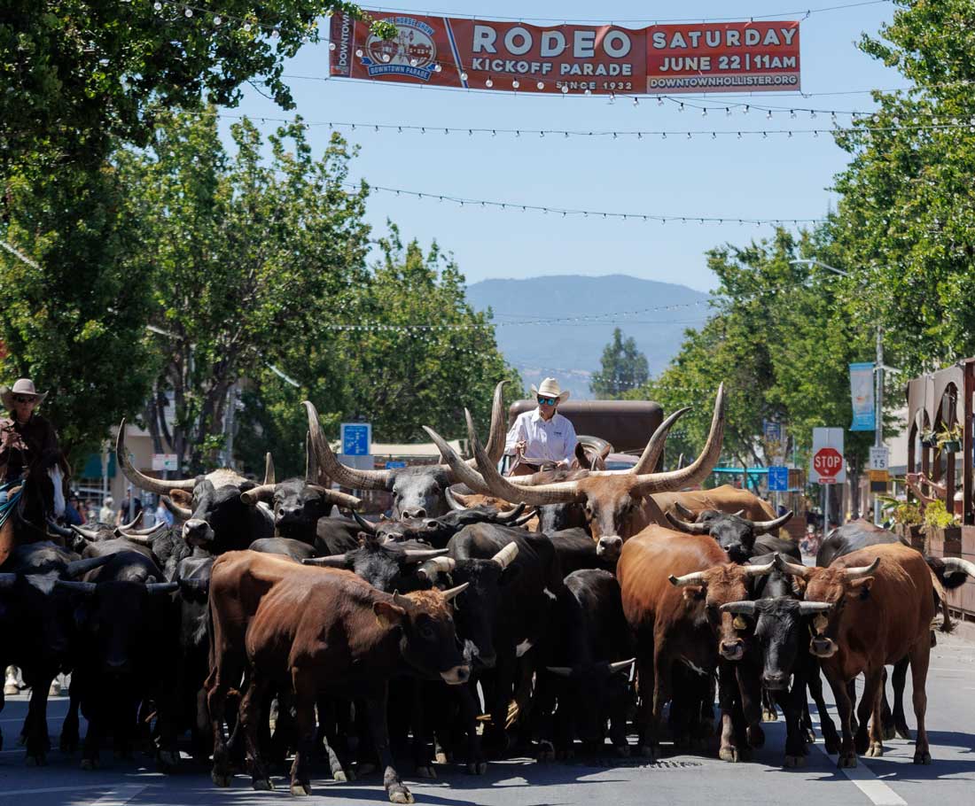 San Benito County Rodeo is June 28-30 | Morgan Hill Times | Morgan Hill ...