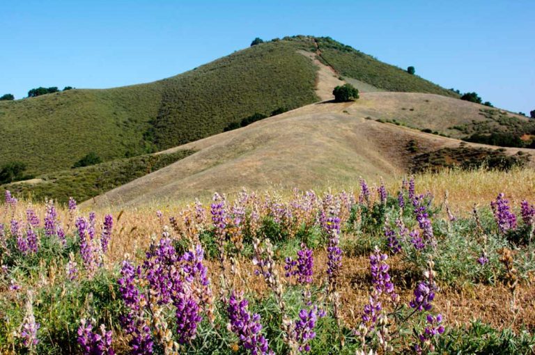 Morgan Hill, Open Space to collaborate on El Toro trail | Morgan Hill ...